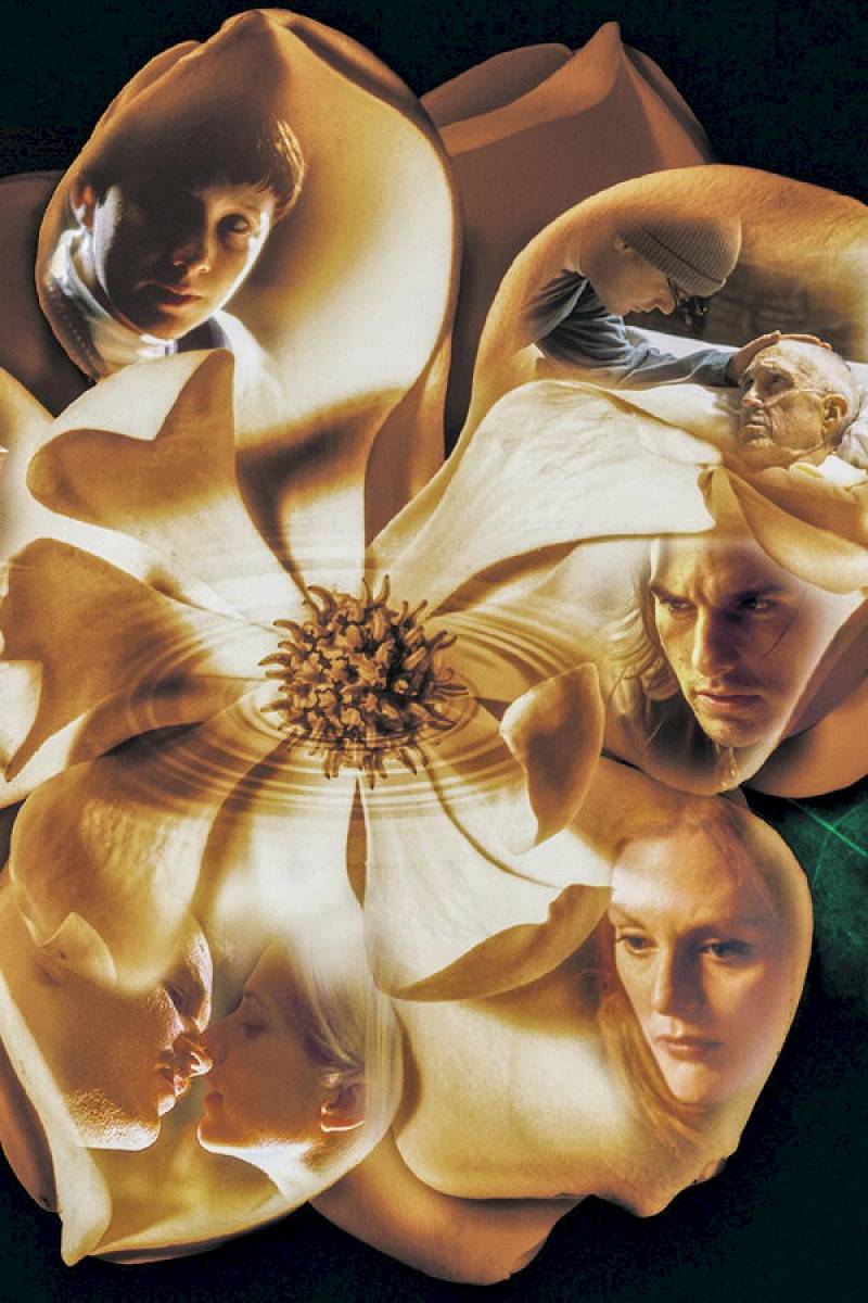 Magnolia soundtrack - buddiesvlero